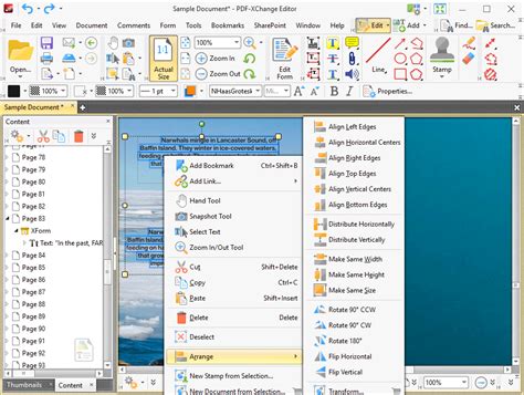 Tracker Software Products PDF XChange Editor
