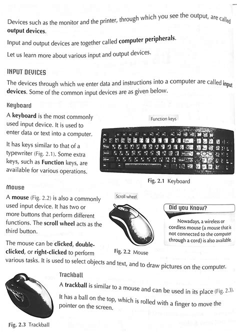 computer output devices list