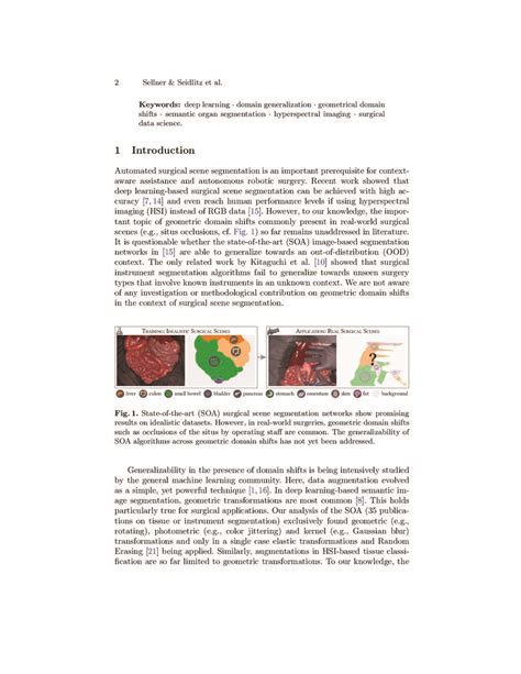 semantic segmentation of surgical hyperspectral images under geometric