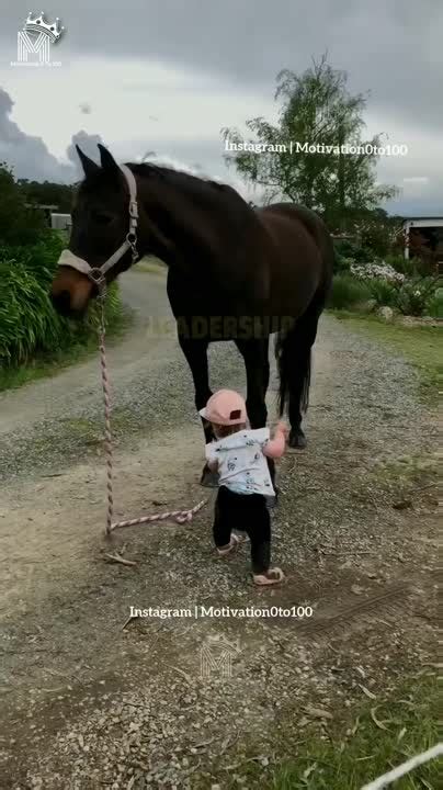 Rukmanghan Selvakumar On Linkedin 😎people May Think Size Is Everything But Courage Is The Game