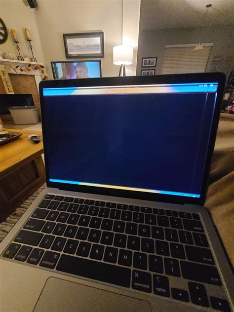 Rip Screen Been Super Gentle With Her Rmacbook