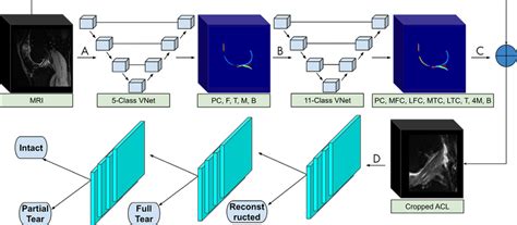 The Segmentation And Classification Pipeline Begins With A The Input