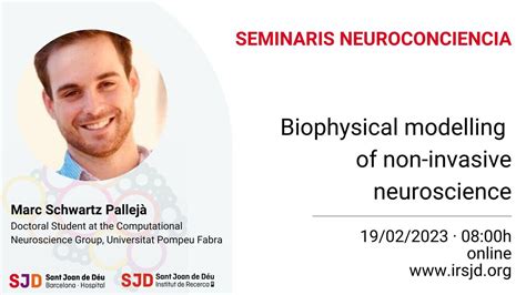 neuroconciencia biophysical modelling of non invasive neuroscience