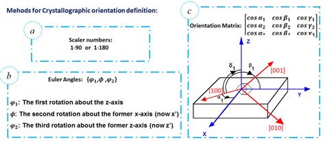 Three Dimensional Microstructures Produced By The Ca Cpfem Model For In Download Scientific