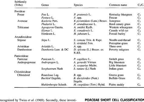 Grass Subfamilies Tribes And Dominant Species In The North American