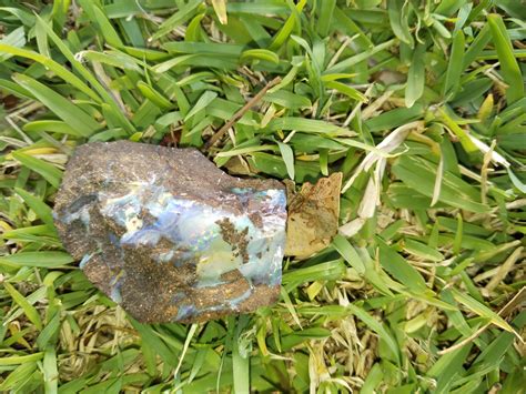 Screw All These Sex Posts Heres Some Cool Rocks I Found On The Weekend