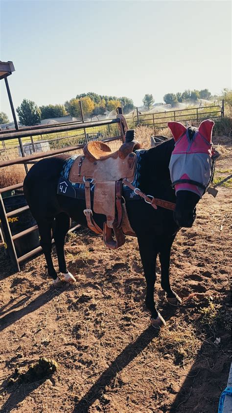 Gallery Bay Jackson Vsco