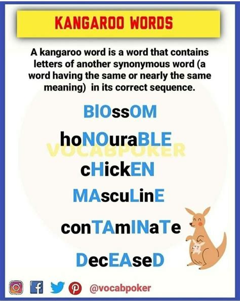 Kangaroo Words Online Teachers Vocabulary Learn English