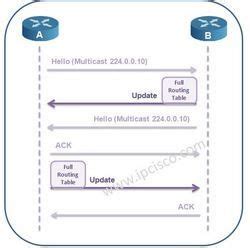 Routing With Is Is Protocol Part Is Is Adjacency Artofit
