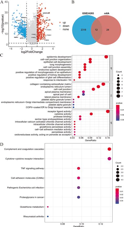 figure 1 from bioinformatics analysis identifies potential m6a hub