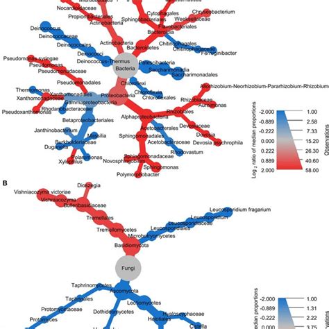 Histograms Of Endophytic Bacterial A And Fungal B Taxa Of