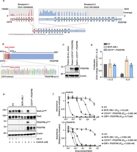 Identification Of Atypical Pdgfrb Fusion In Ph Like B All Patient A
