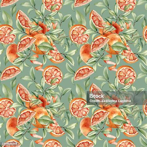 자몽 나무 단풍 수채화 고립 된 배경에 완벽 한 패턴 밝은 여름 반복 질감 손으로 그렸고 감귤류 과일 얇게 썰고 빨간 오렌지 익은 분지 잎 디자인 직물 0명에 대한 스톡