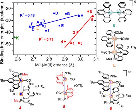 correlation of the computed m ii m ii bond distances and binding free