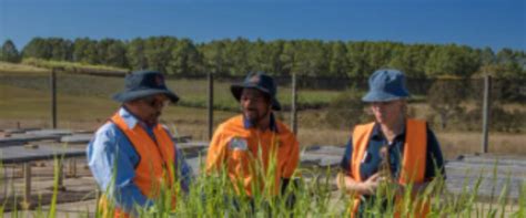 Sugarcane Biosecurity Information For Growers Sra