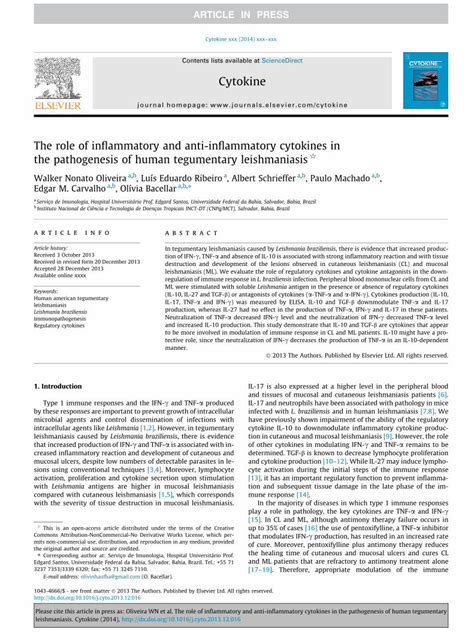 Pdf The Role Of Inflammatory And Anti Inflammatory Cytokines In The