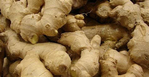 Catat Manfaat Tanaman Jahe Ini Penting Banget Untuk Tubuhmu Blibli Friends