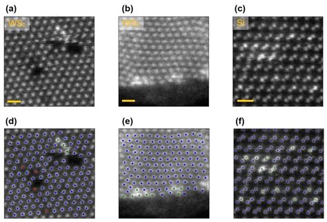 Identification Of Lattice Atoms And Lattice Disorder From Stem Images Download Scientific