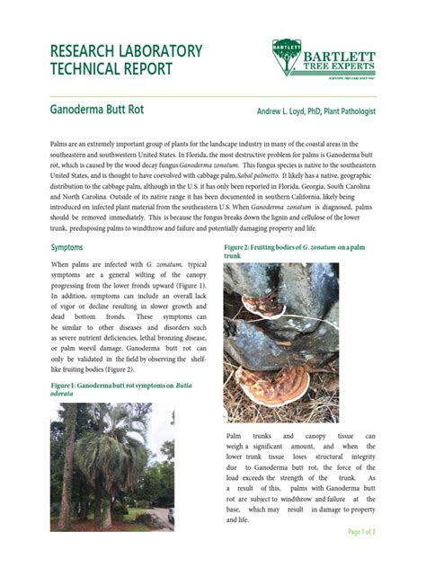 Ganoderma Butt Rot Pdf
