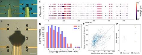 Investigation Of Different Electrode Configurations A Optical Images