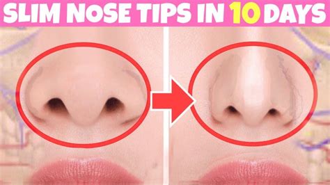 Slim Nose Tips Exercises Make Nose Tips Smaller Sharper Fix Fat Round Nose Artofit