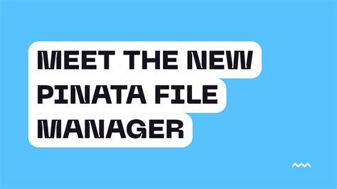 The New Pinata File Manager