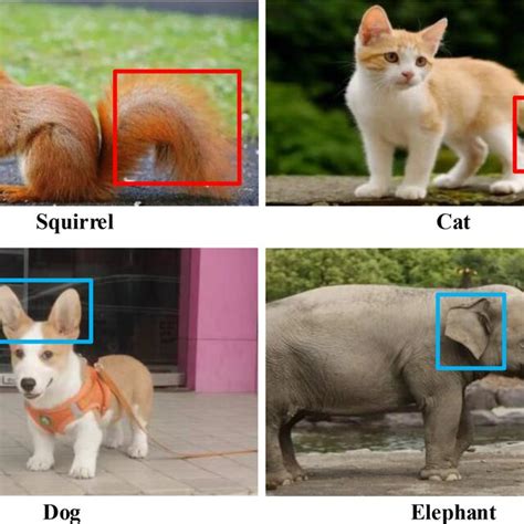 A Review On Multimodal Zero‐shot Learning Request Pdf
