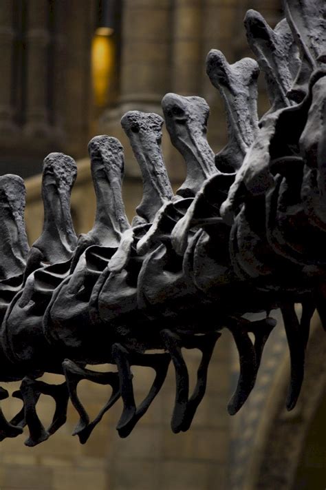 Bone Worker Interview Questions And Answers Blog