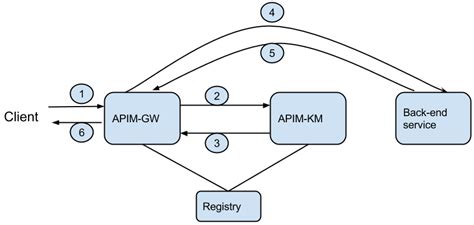 Dinushas Blog Message Tracing With Wso2 Api Manager