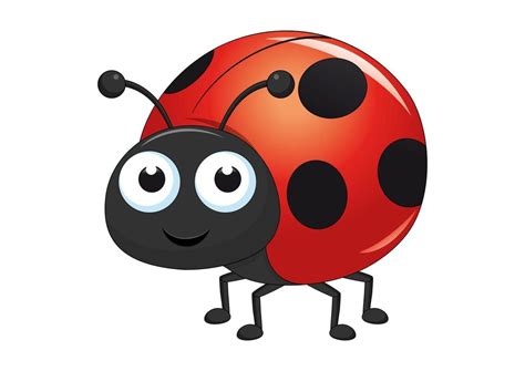 Ladybug Character Vector Illustration Cartoon Ladybug Isolated On