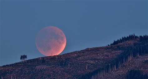 How To Photograph A Lunar Eclipse Light Stalking
