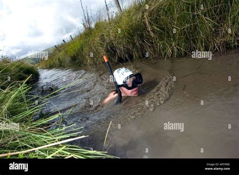 The 21st Annual Bog Snorkelling Championsips In Llanwrtyd Wells Uk