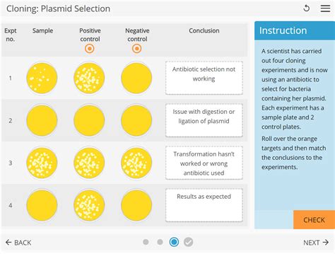 Learnsci Labsim Cloning Selection Learnsci Labsim Cloning Selection