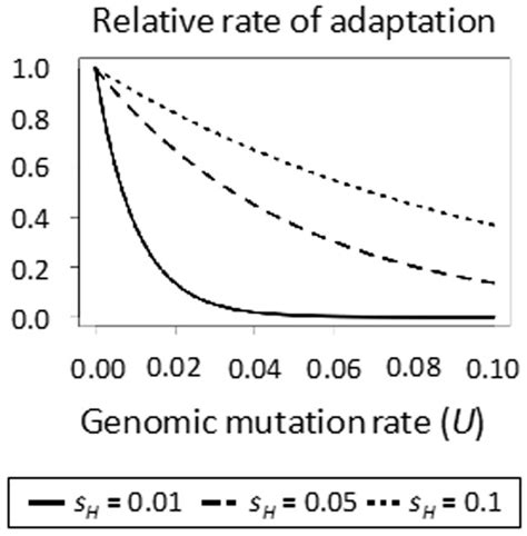 The Relative Rate Of Adaptation In An Asexual Relative To A Sexual Download Scientific Diagram