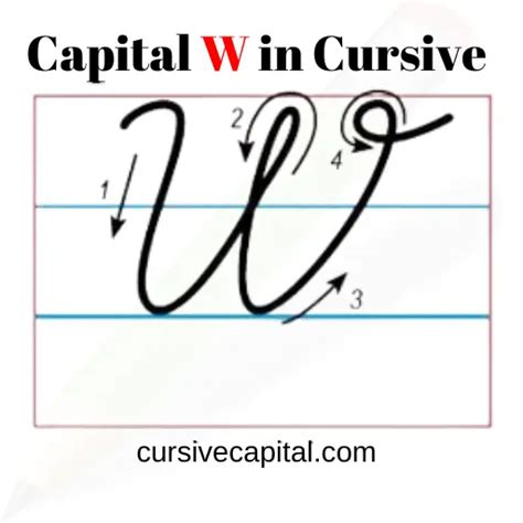 How To Write Capital W In Cursive Capital Cursive W