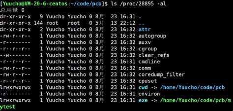 linux进程实操 ps axj csdn博客