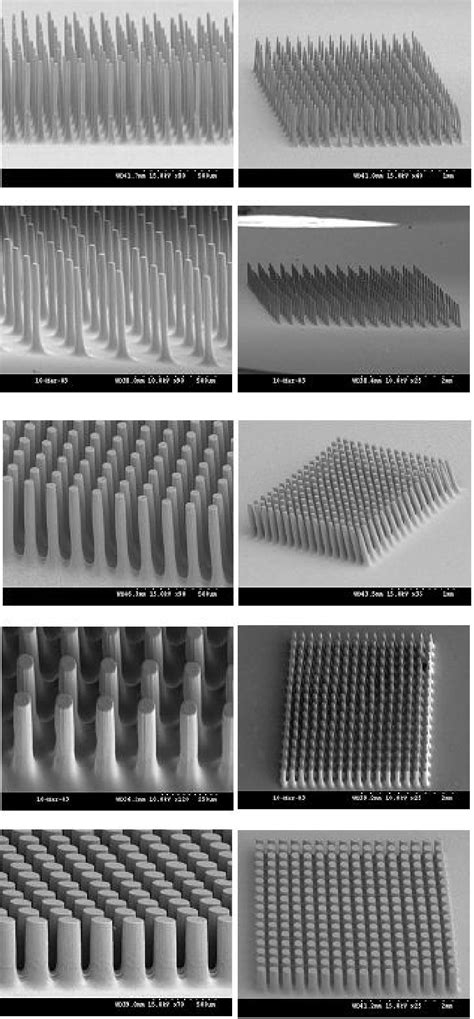 Figure 2 From High Aspect Ratio Su 8 Structures For 3 D Culturing Of Neurons Semantic Scholar
