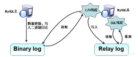 Centos7 下 Mysql 主从复制同步配置操作指导从节点执行show Master Status Csdn博客
