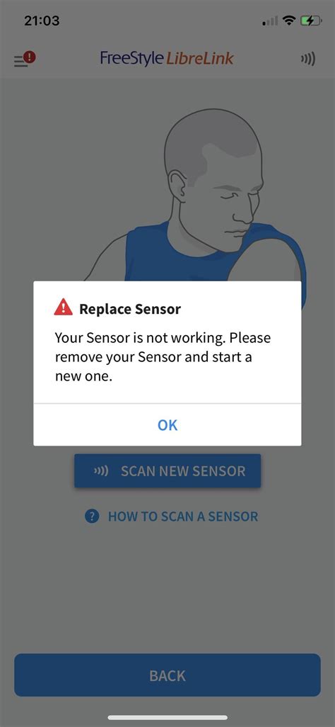 What Is Happening With My Librelink R Diabetes T1