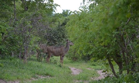 รูปภาพkoedoe เลือกดูภาพถ่ายสต็อก เวกเตอร์ และวิดีโอ134 Adobe Stock