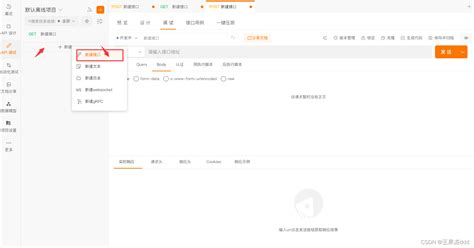 apipost的安装和测试添加接口能否正常使用 apipost如何导入接口 csdn博客