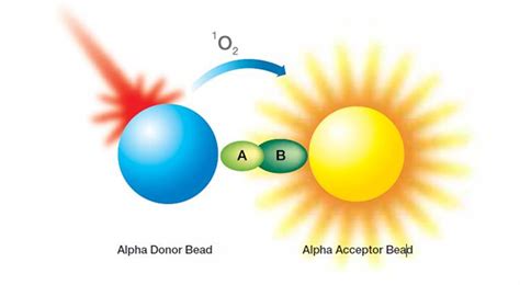 Microplate Reader Ensight Multimode Perkin Elmer 120 V 5103 35