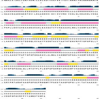 Schematic Illustration Of Secondary Structure Of The Subunit Vaccine Download Scientific