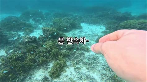 괌 태교여행 2부 Youtube