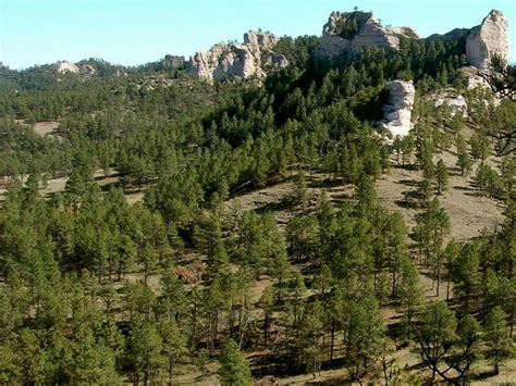 Nebraska National Forest Alchetron The Free Social Encyclopedia