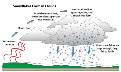 Snowflake Formation Stock Illustrations 540 Snowflake Formation Stock