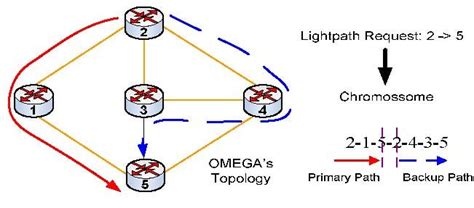 Chromosome Implicit Representation Of The Pair Primary Backup Path