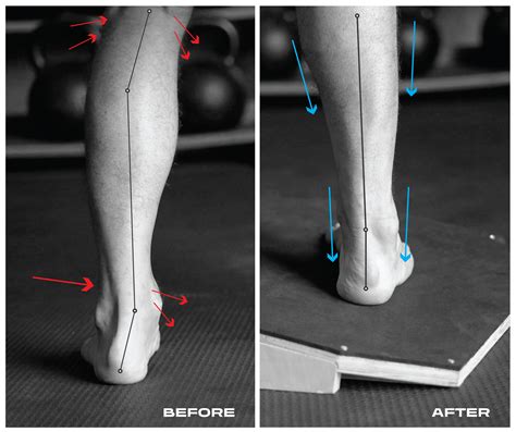 The Deck Innovation In Weight Lifting Exercise Step Platforms