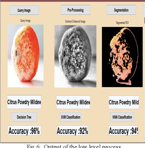 Figure 6 From Identification Of Citrus Fruit Defect Using Computer