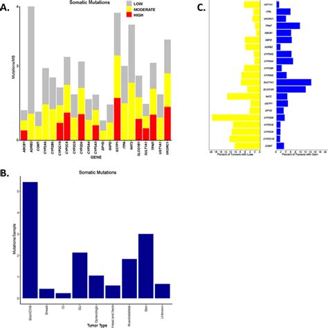 Somatic Mutations And Cnas Within Genes Of Drug Response In Cancer